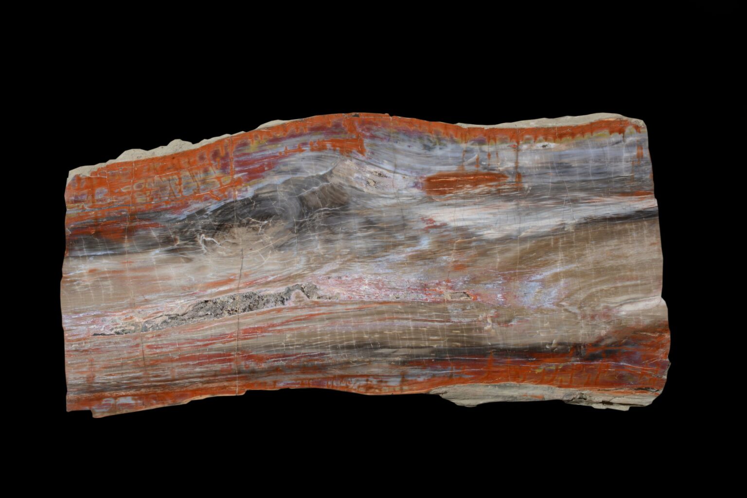 Rare Arizona Petrified Pine Wood Table - Large, Rare Amethyst Pocket ...