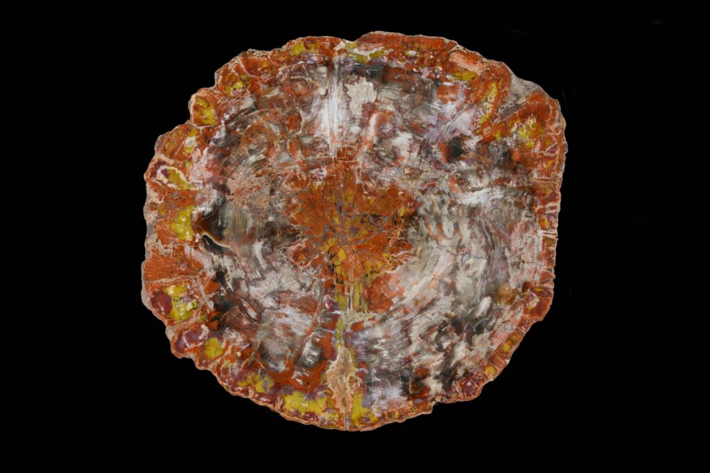 Popular Arizona Colors - Nice Size And Shape - Russell Zuhl