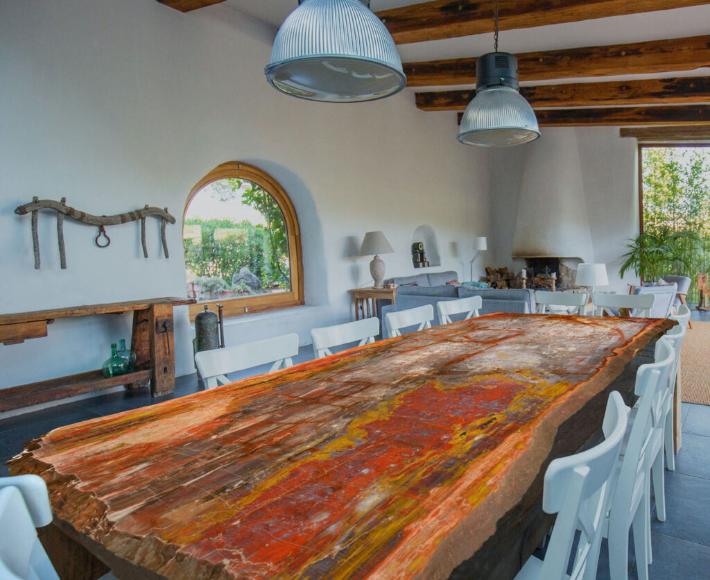 Everything You Need to Know About Petrified Wood | RUSSELLZUHL